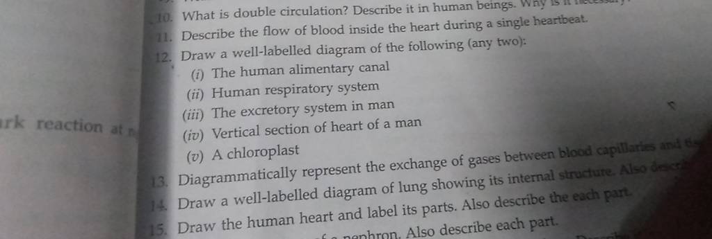(10. What is double circulation? Describe it in human beings. 11. Describ.. (10. What is double circulation? Describe it in human beings. 11. Describ..