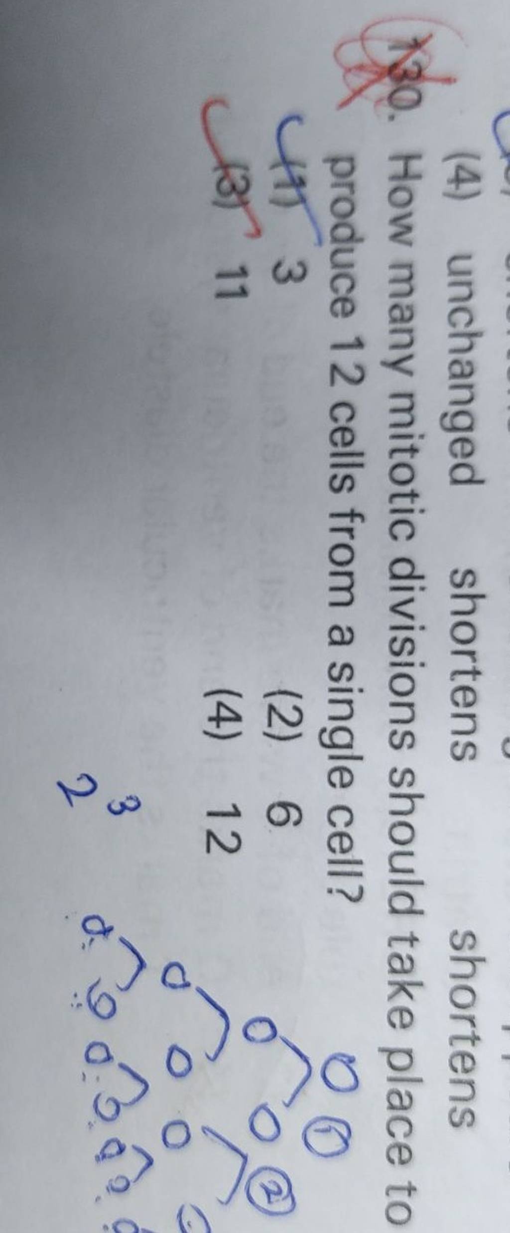 How many mitotic divisions should take place to produce 12 cells from a s.. How many mitotic divisions should take place to produce 12 cells from a s..