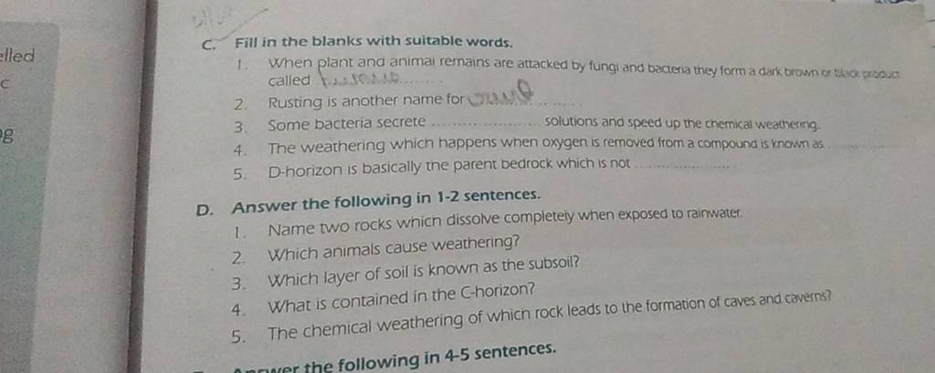 Answer the following in 1−2 sentences. | Filo