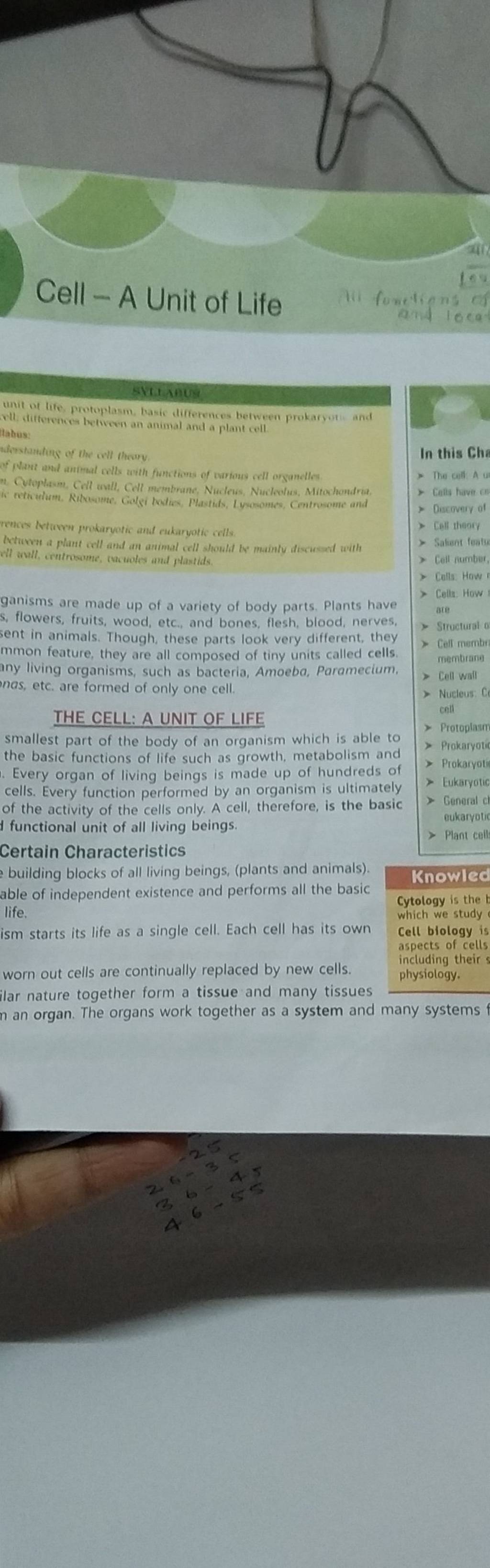 Cell - A Unit of Life THE CELL: A UNIT OF LIFE smallest part of the body