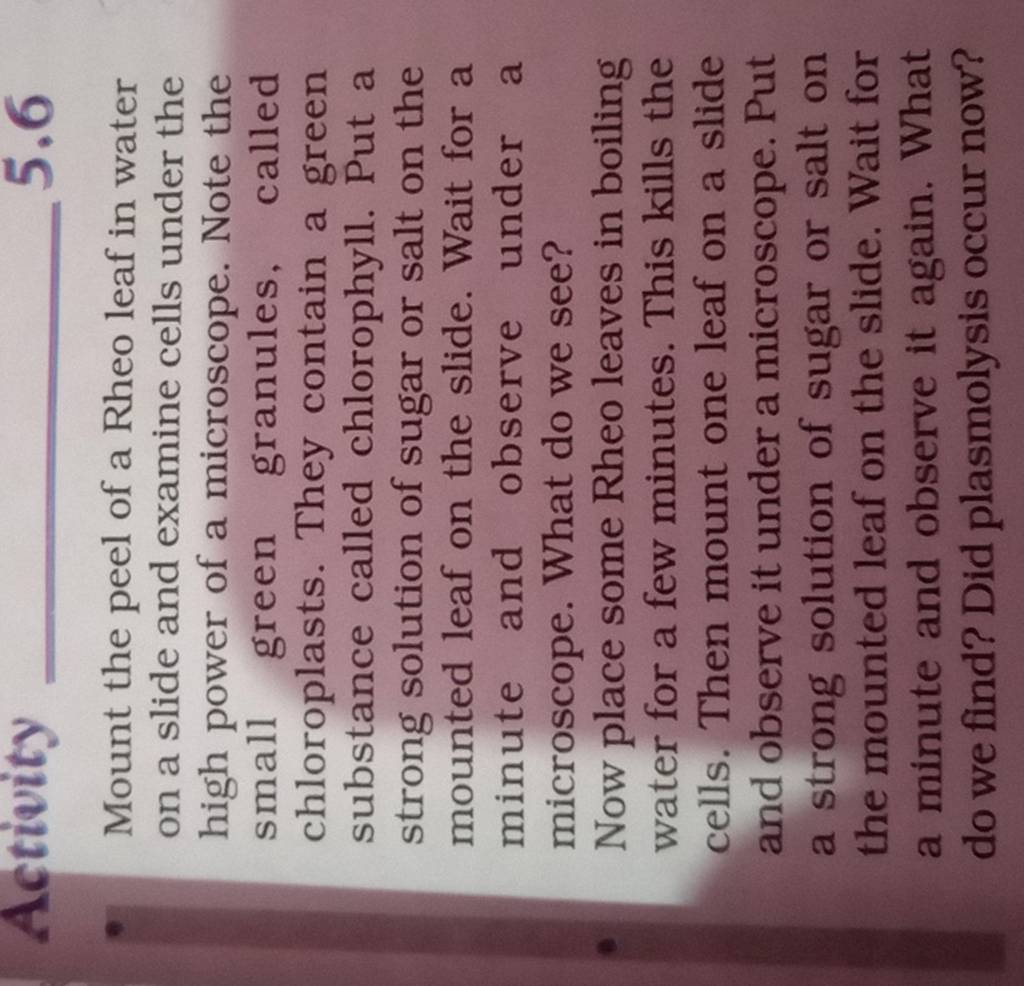 Activity 5.6 Mount the peel of a Rheo leaf in water on a slide and examin..