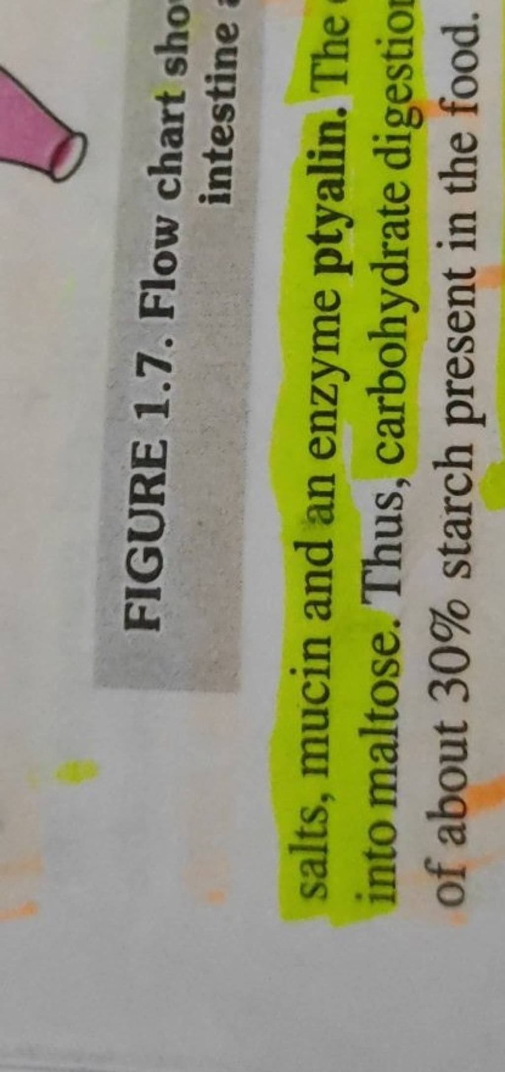 FIGURE 1.7. Flow chart sho intestine salts, mucin and an enzyme ptyalin.