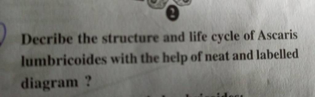 Decribe the structure and life cycle of Ascaris lumbricoides with the hel..