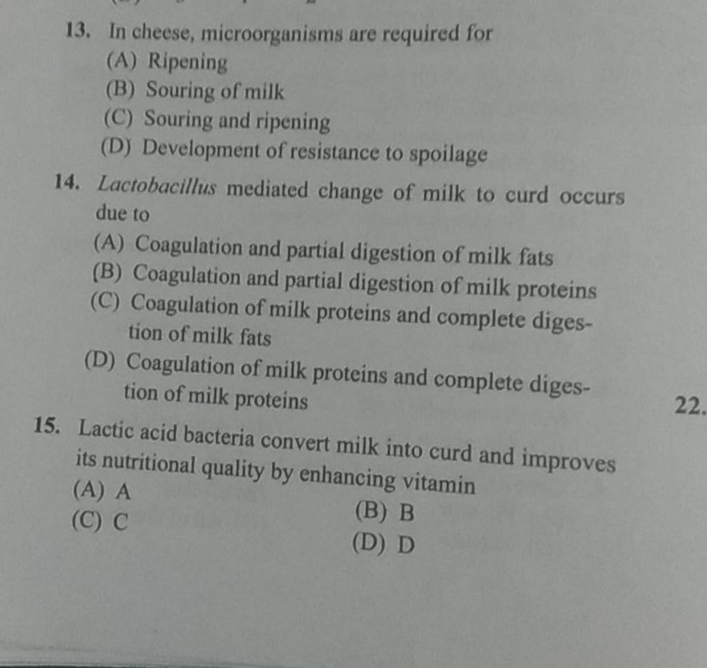 Lactic acid bacteria convert milk into curd and improves its nutritional