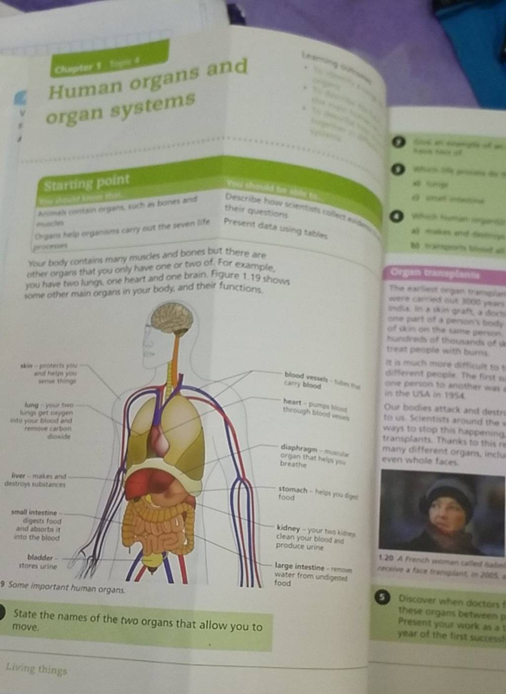 ( Human organs and organ systems State the names of the two organs that a..