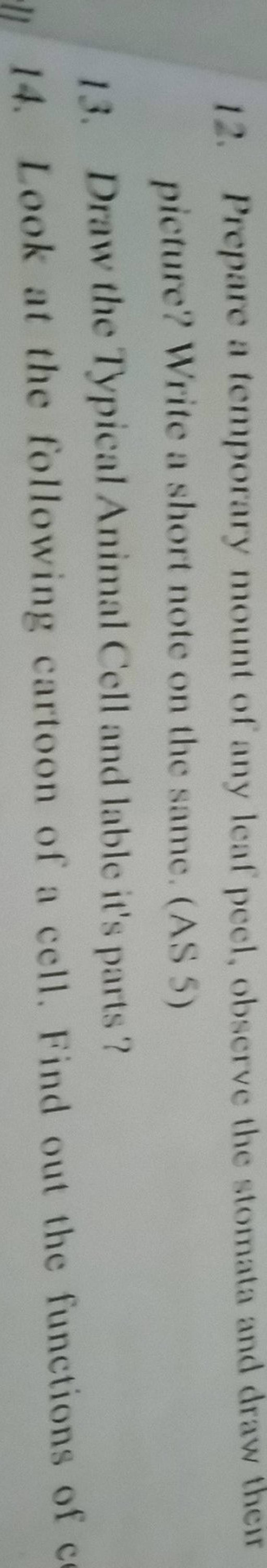 12. Prepare a temporary mount of any leaf peel, observe the stomata and d..