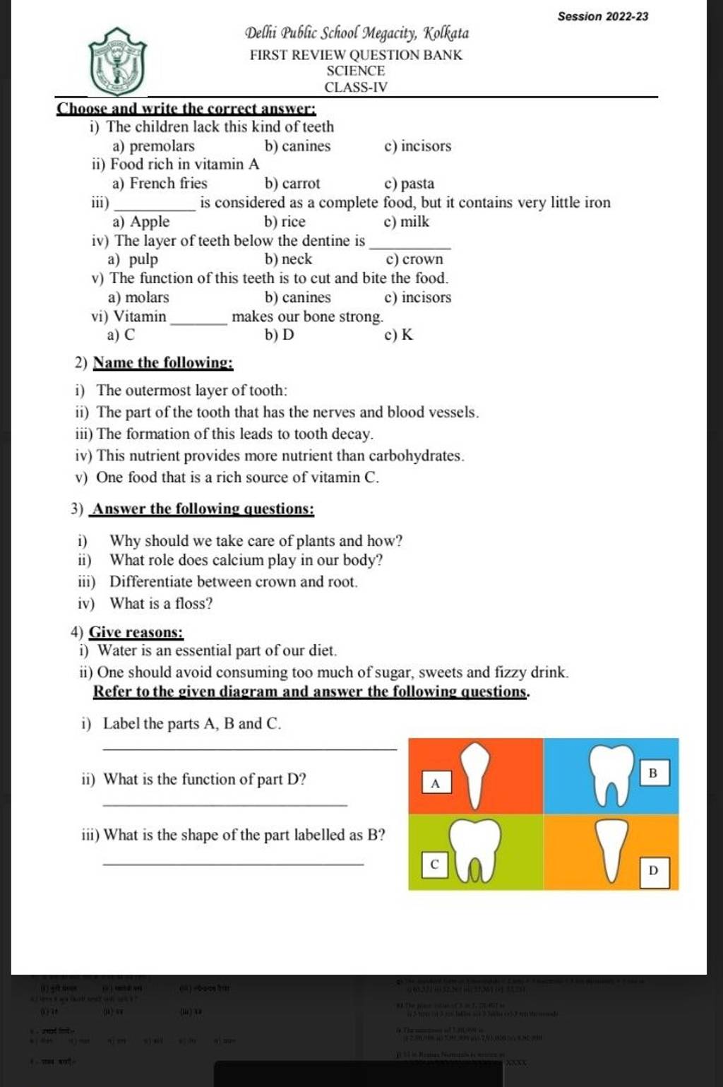 Refer to the given diagram and answer the following questions. | Filo