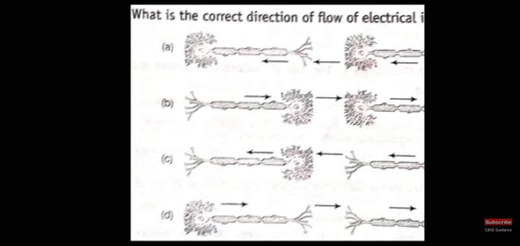 What is the correct direction of flow of electrical i | Filo