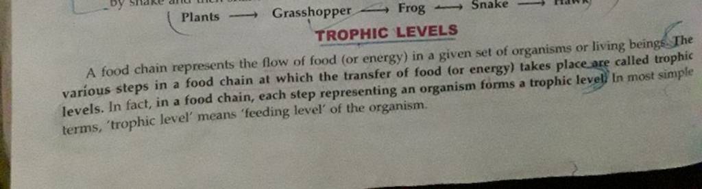 (Plants Grasshopper Frog Snake TROPHIC LEVELS A food chain represen..