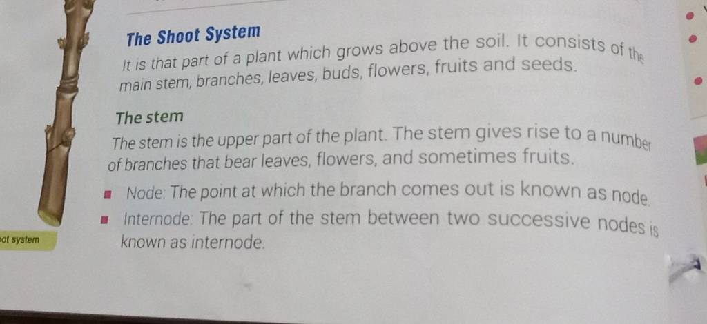 The Shoot System it is that part of a plant which grows above the soil. I..