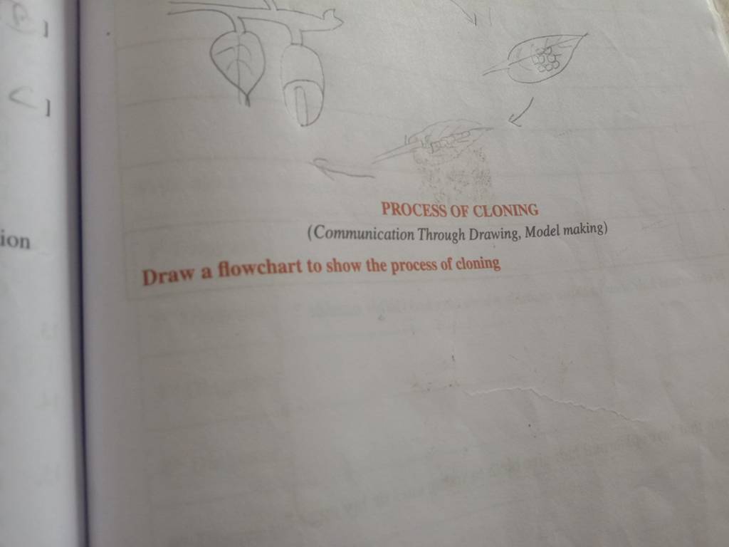 PROCESS OF CLONING (Communication Through Drawing, Model making) Draw a f..