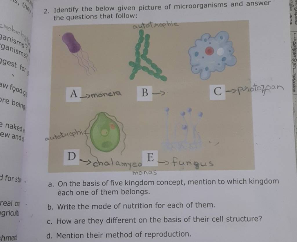Identify the below given picture of microorganisms and answer the questio..
