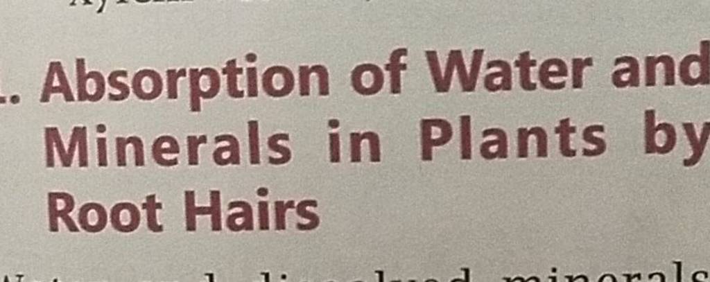 Absorption of Water and Minerals in Plants by Root Hairs | Filo