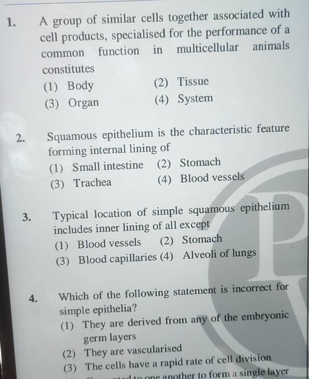 Typical location of simple squamous epithelium includes inner lining of a..