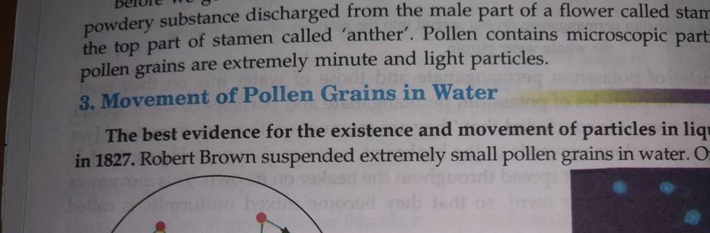 Powdery Substance Discharged From The Male Part Of A Flower Called Stam T powdery-substance-discharged-from-the-male-part-of-a-flower-called-stam-t