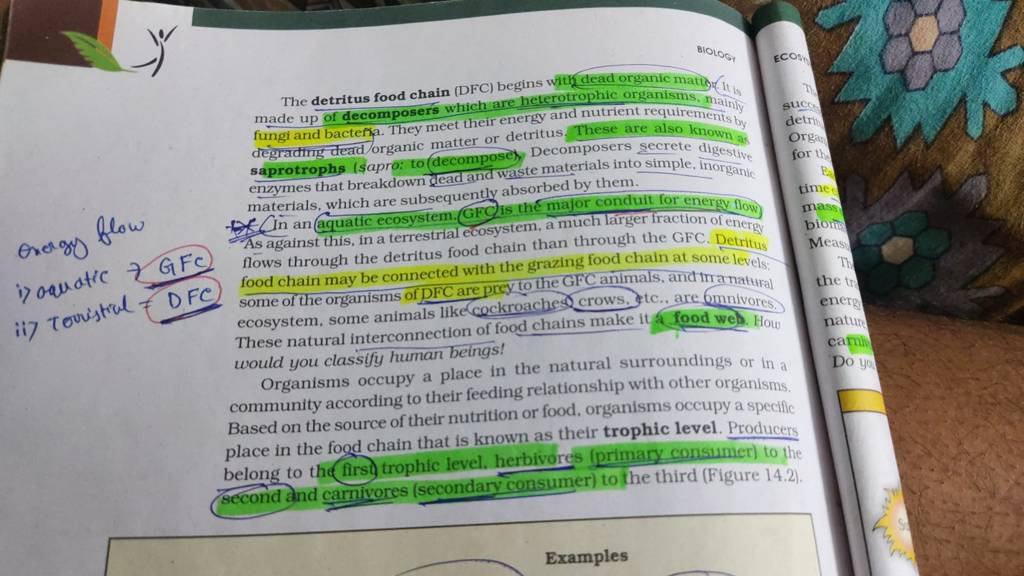 The detritus food chain (DFC) begins with dead organic matt made up of de..