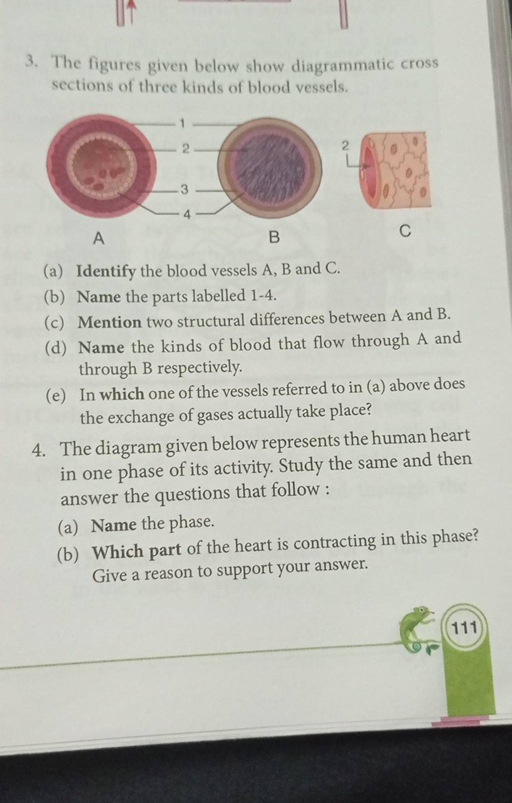 The figures given below show diagrammatic cross sections of three kinds o.. The figures given below show diagrammatic cross sections of three kinds o..