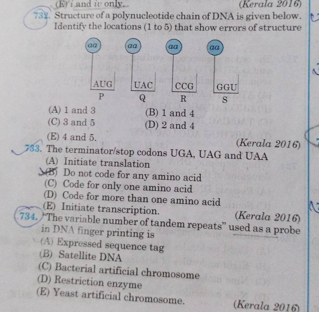 732 . Structure of a polynucleotide chain of DNA is given below. Identify..