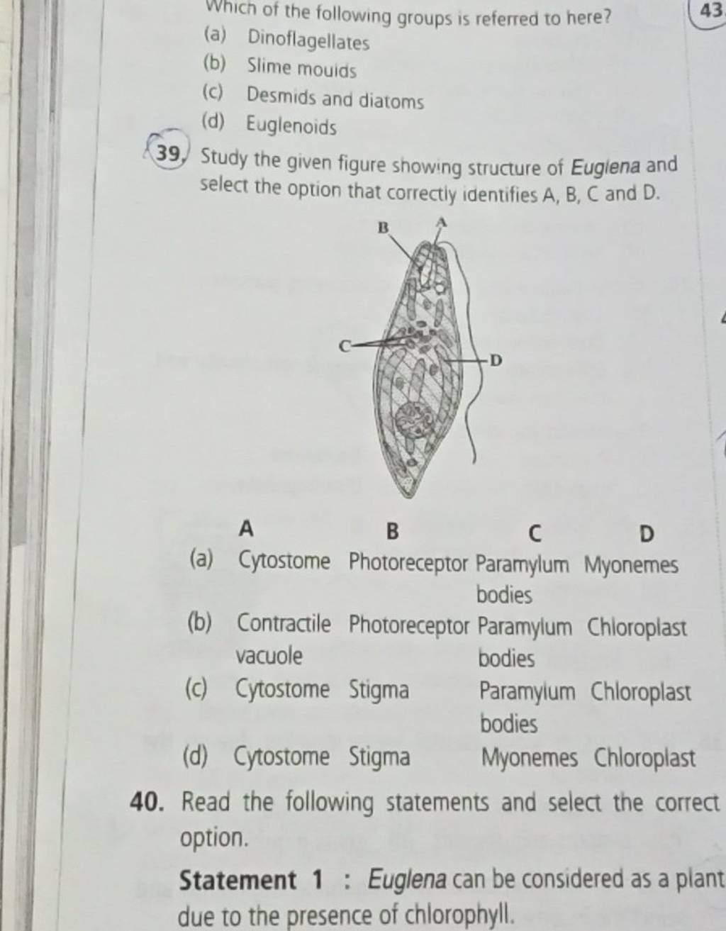 Study the given figure showing structure of Eugiena and select the option..