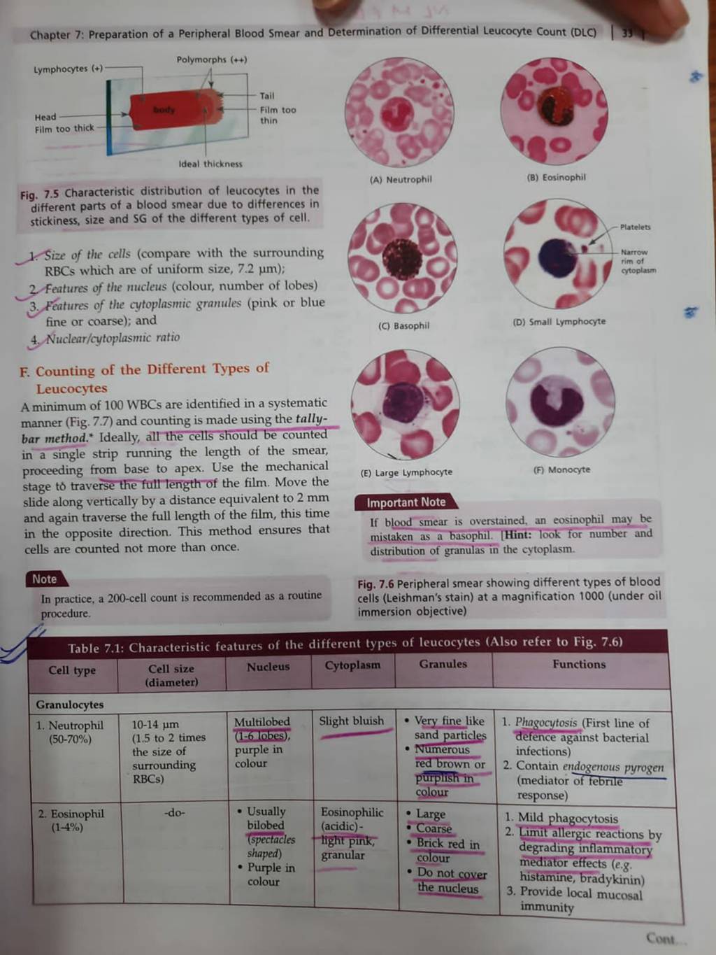 Chapter 7: Preparation of a Peripheral Blood Smear and Determination of D..