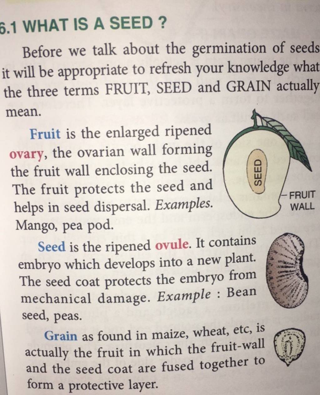 6.1 WHAT IS A SEED ? Before we talk about the germination of seeds it wil..