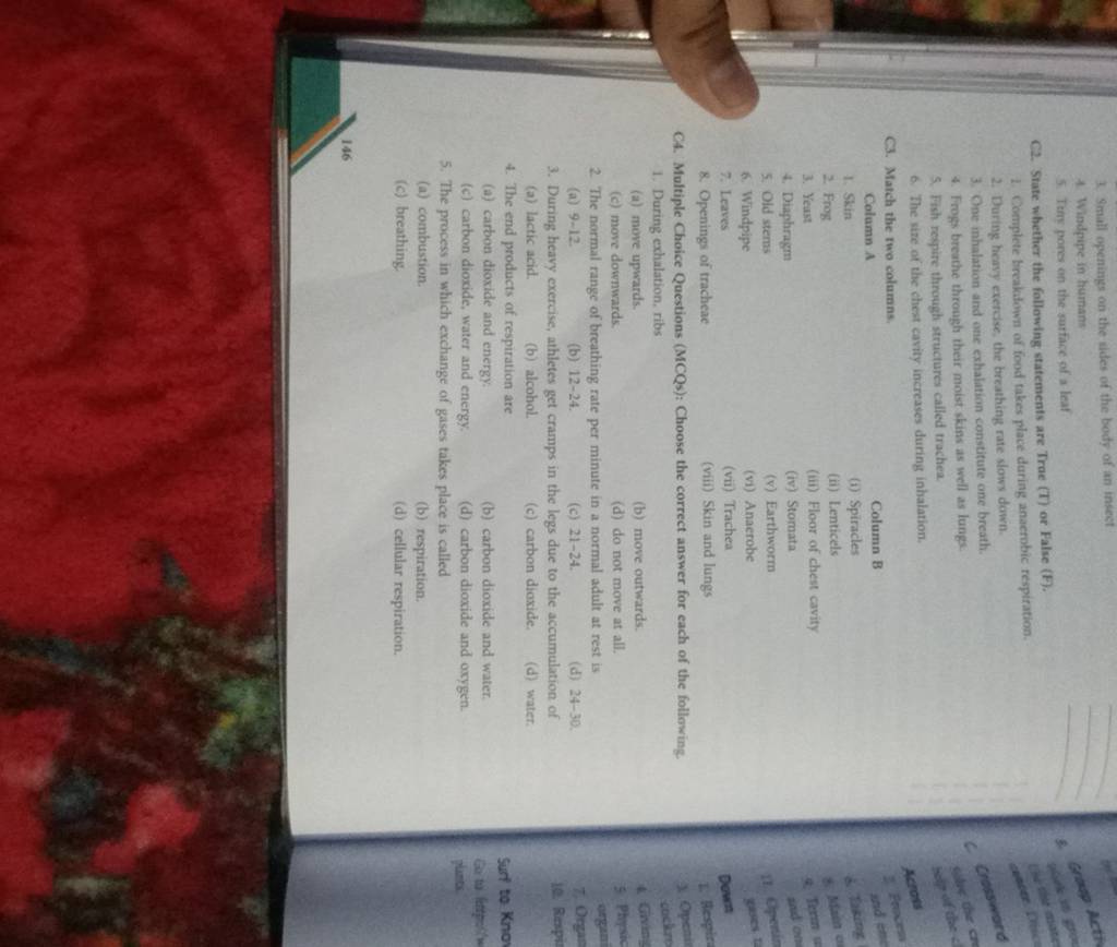 The normal range of breathing rate per minute in a normal adult at rest i..