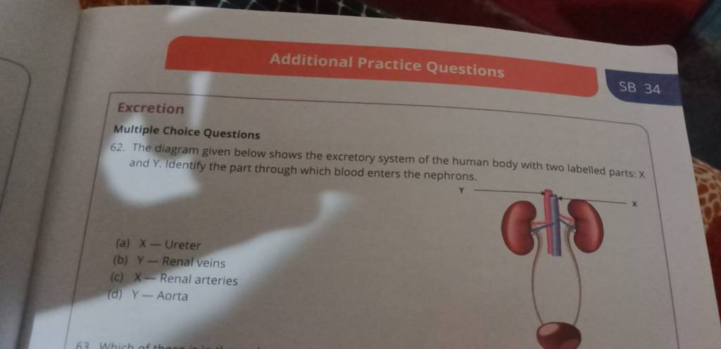 Additional Practice Questions Excretion Multiple Choice Questions 62. The..