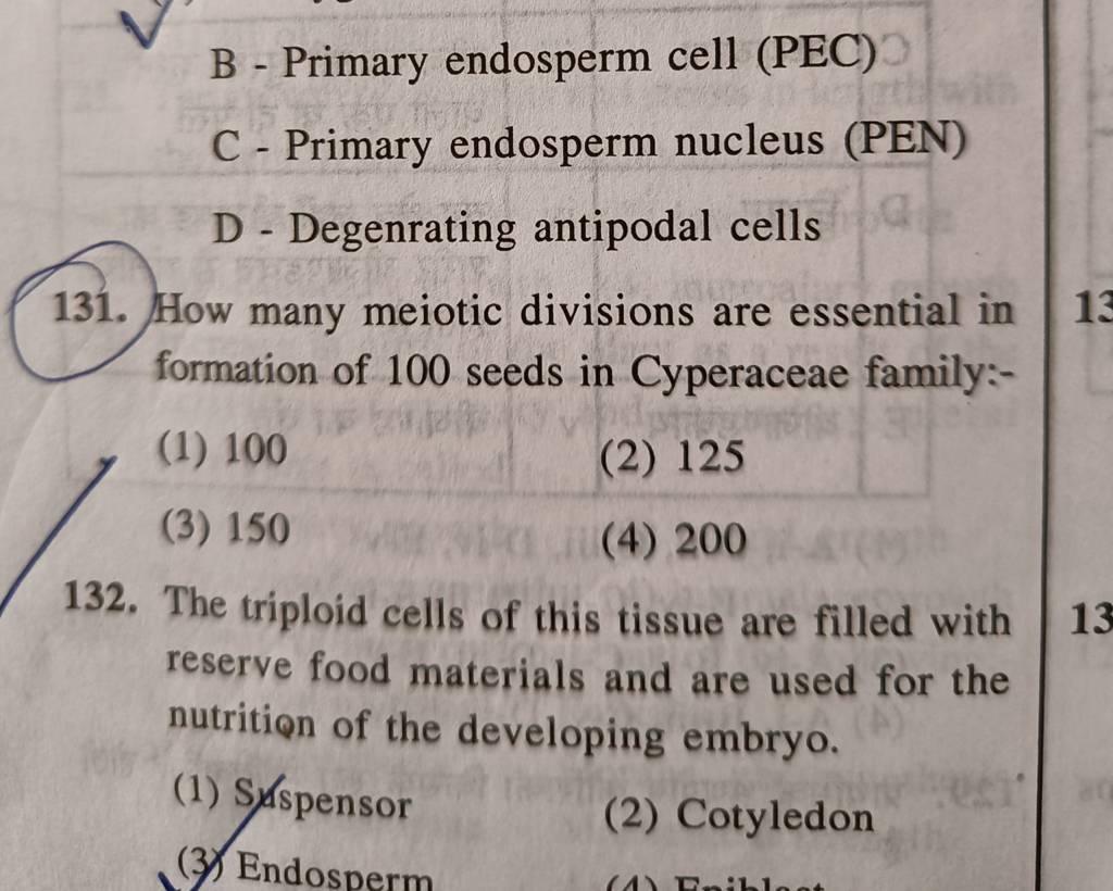The triploid cells of this tissue are filled with reserve food materials