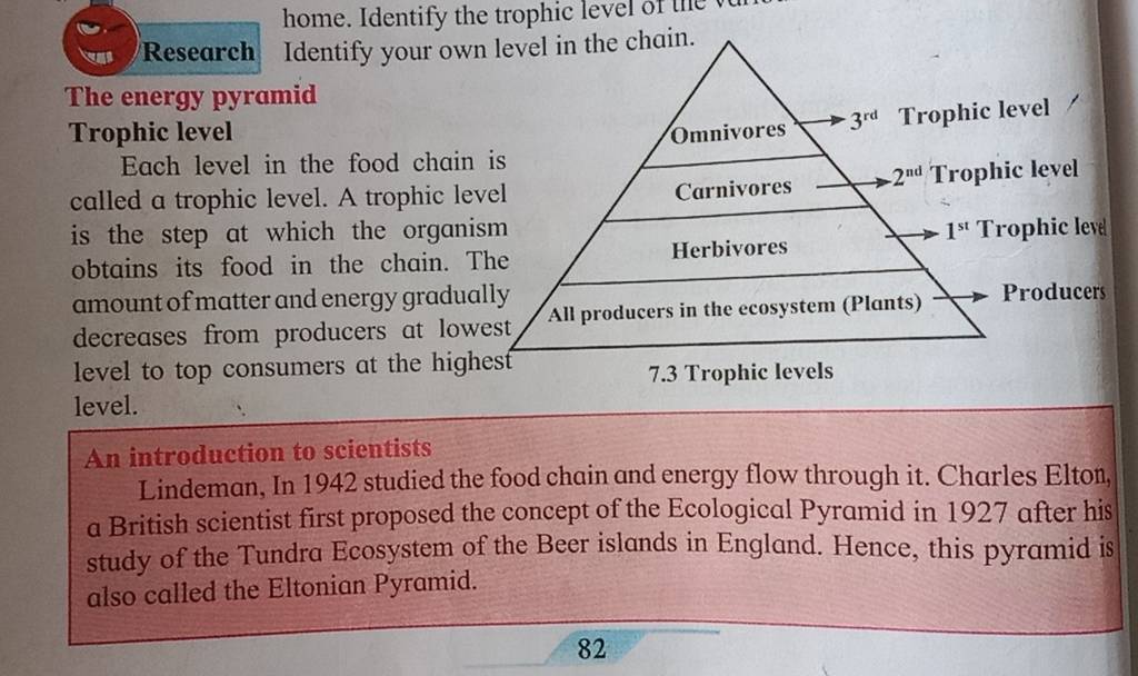 Tundra Energy Pyramid