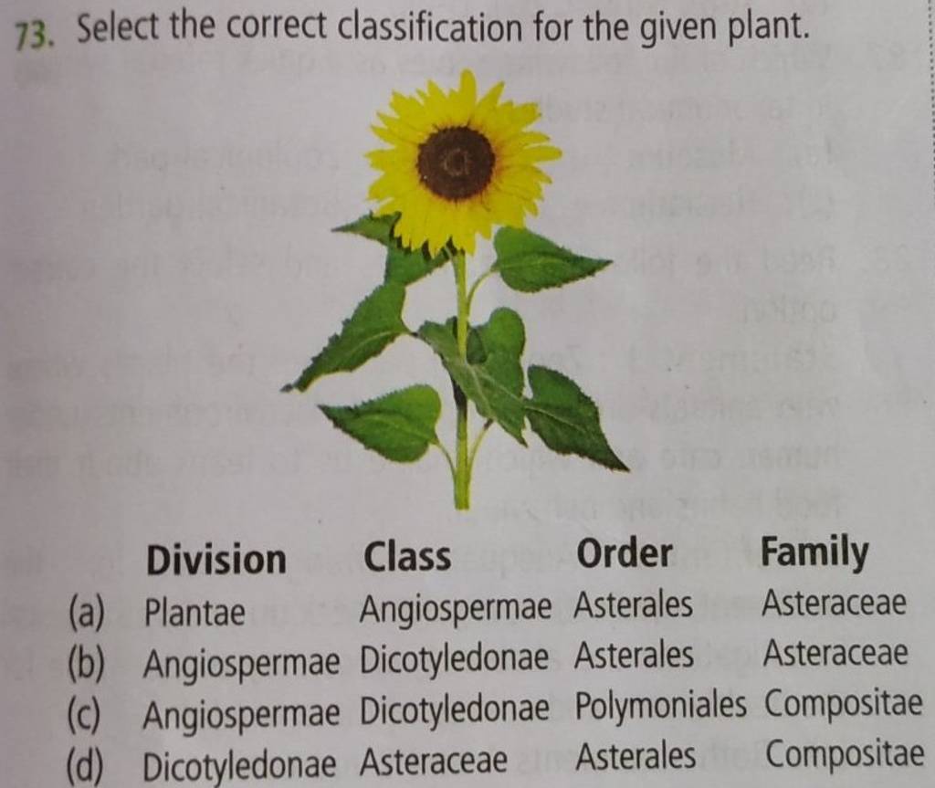 Select the correct classification for the given plant. Division Class Ord..