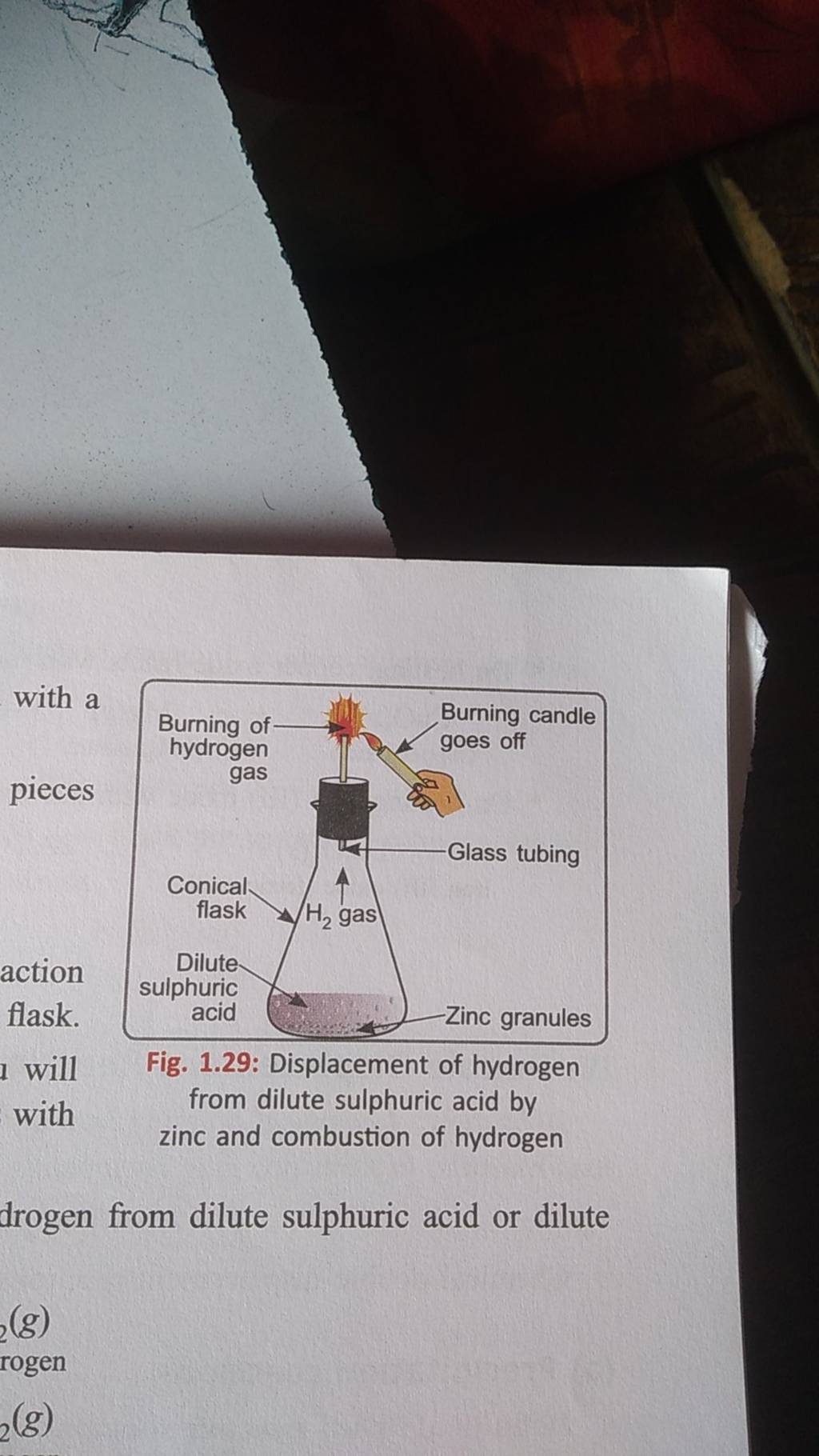 Fig. 1.29: Displacement of hydrogen from dilute sulphuric acid by zinc an..