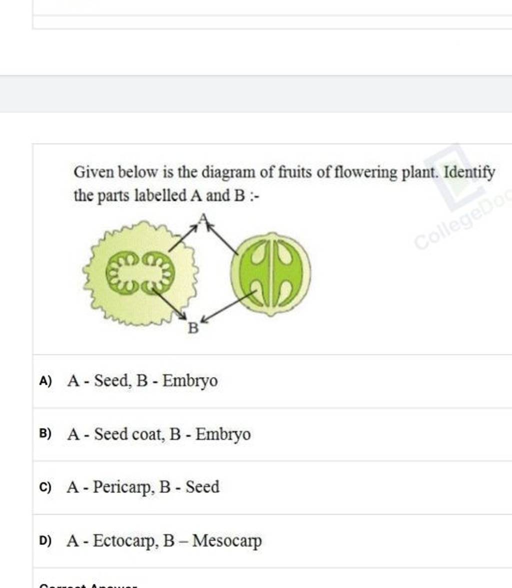 Given below is the diagram of fruits of flowering plant. Identify the par..