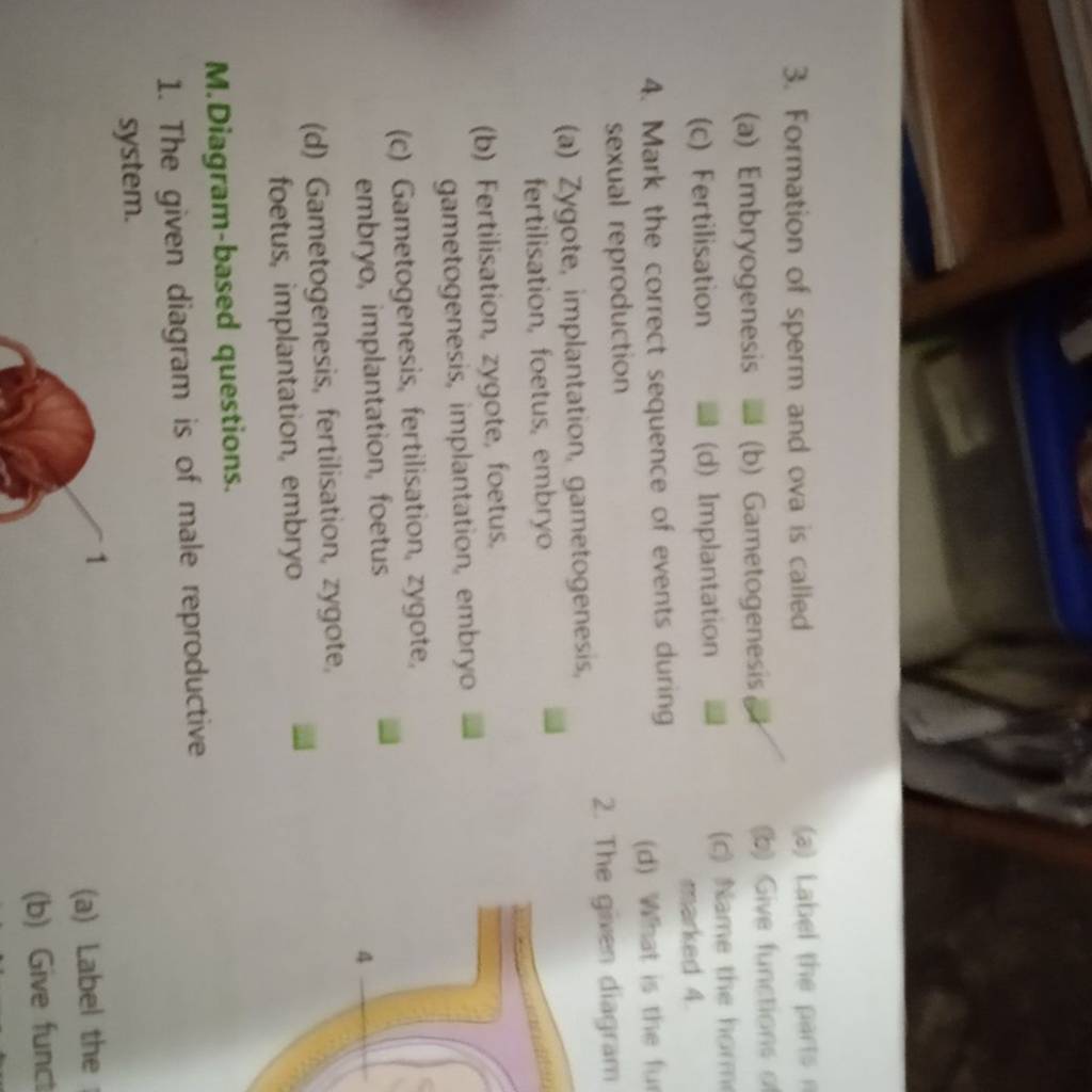 Diagram-based questions. 1. The given diagram is of male reproductive sys..