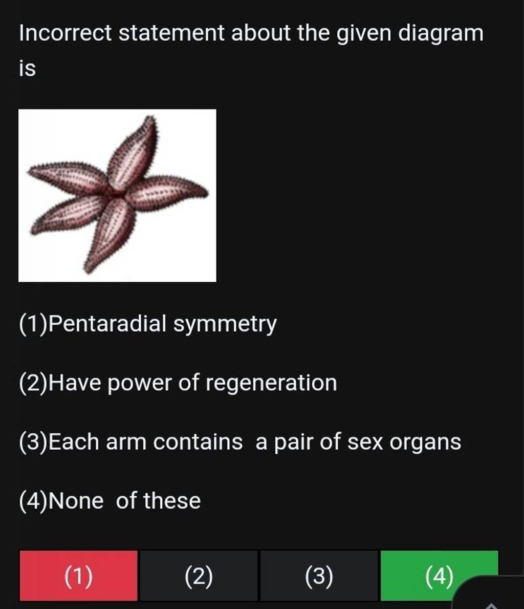 Incorrect Statement About The Given Diagram Is Filo