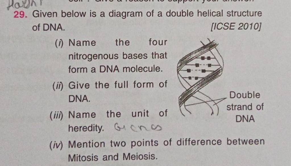 Given below is a diagram of a double helical structure of DNA. [ICSE 2010..