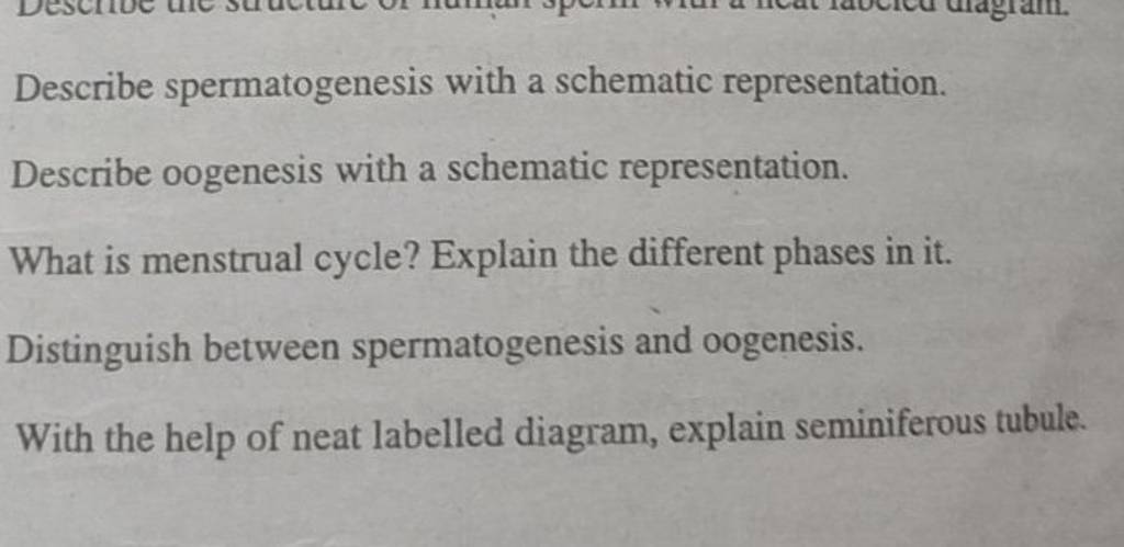 Describe spermatogenesis with a schematic representation. | Filo Describe spermatogenesis with a schematic representation. | Filo