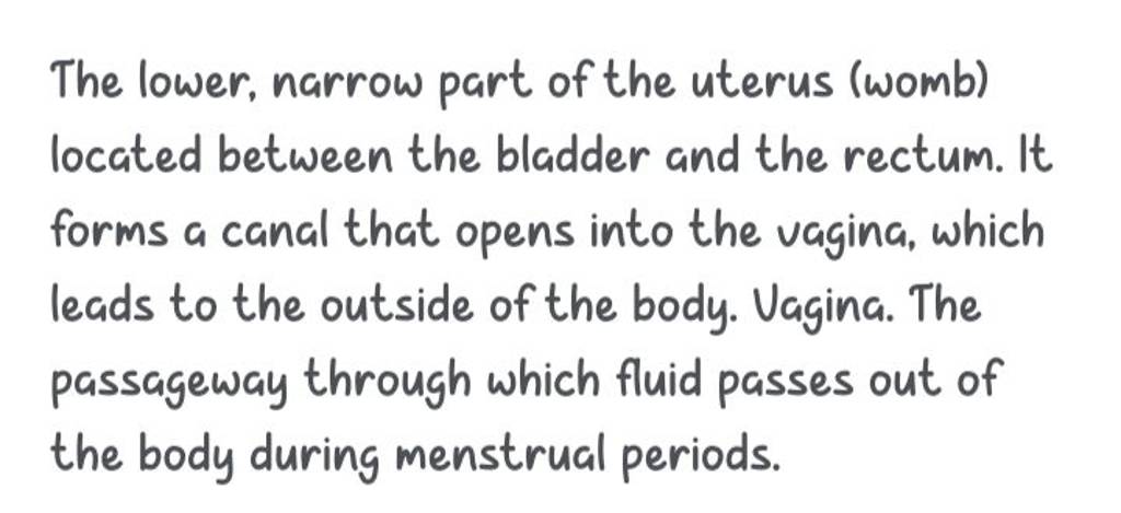 The lower, narrow part of the uterus (womb) located between the bladder a..