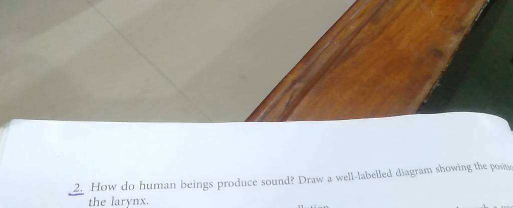 2. How do human beings produce sound? Draw a well-labelled diagram showin..