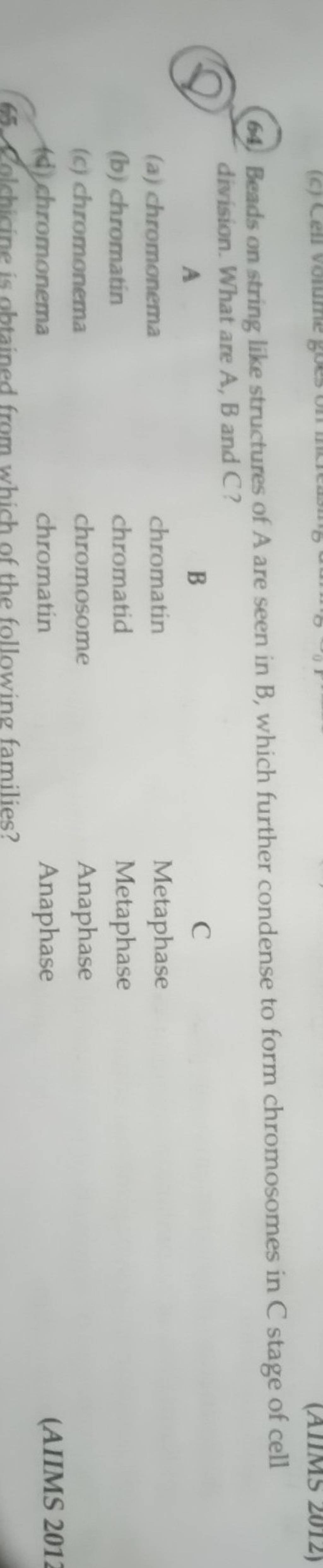 Beads on string like structures of A are seen in B, which further condens..