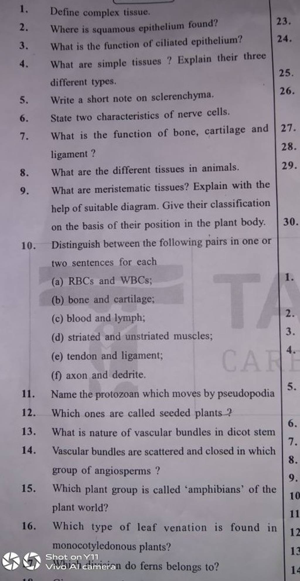 Define Complex Tissue 23 2 Where Is Squamous Epithelium Found 3 What