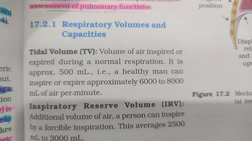 17.2.1 Respiratory Volumes and Capacities Tidal Volume (TV): Volume of ai..