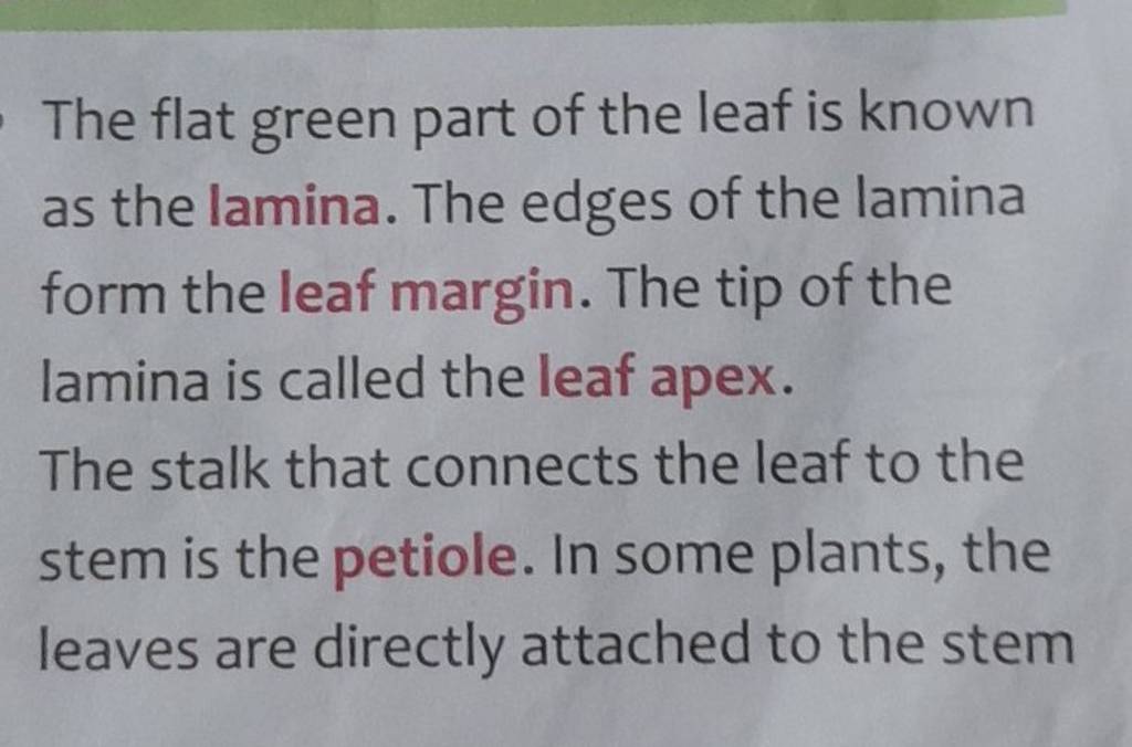The flat green part of the leaf is known as the lamina. The edges of the