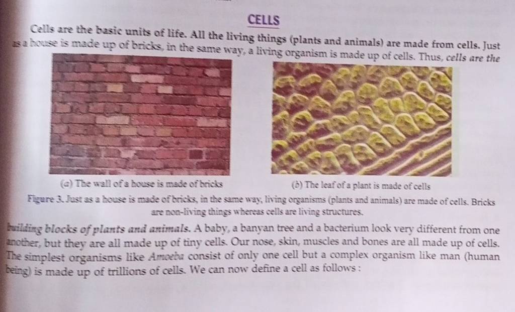 CELLS Cells are the basic units of life. All the living things (plants an..