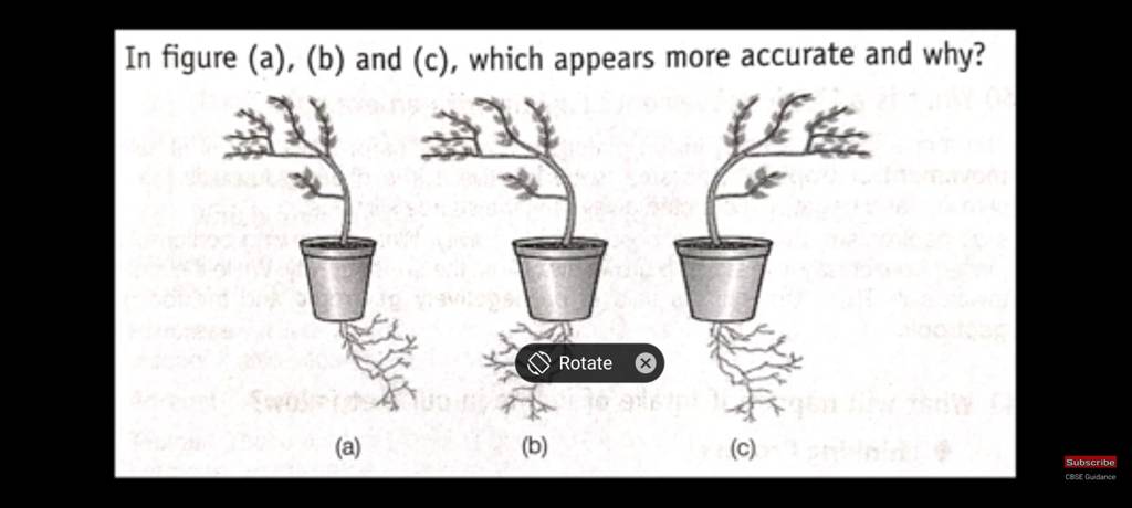 In figure (a), (b) and (c), which appears more accurate and why? (a) (b)