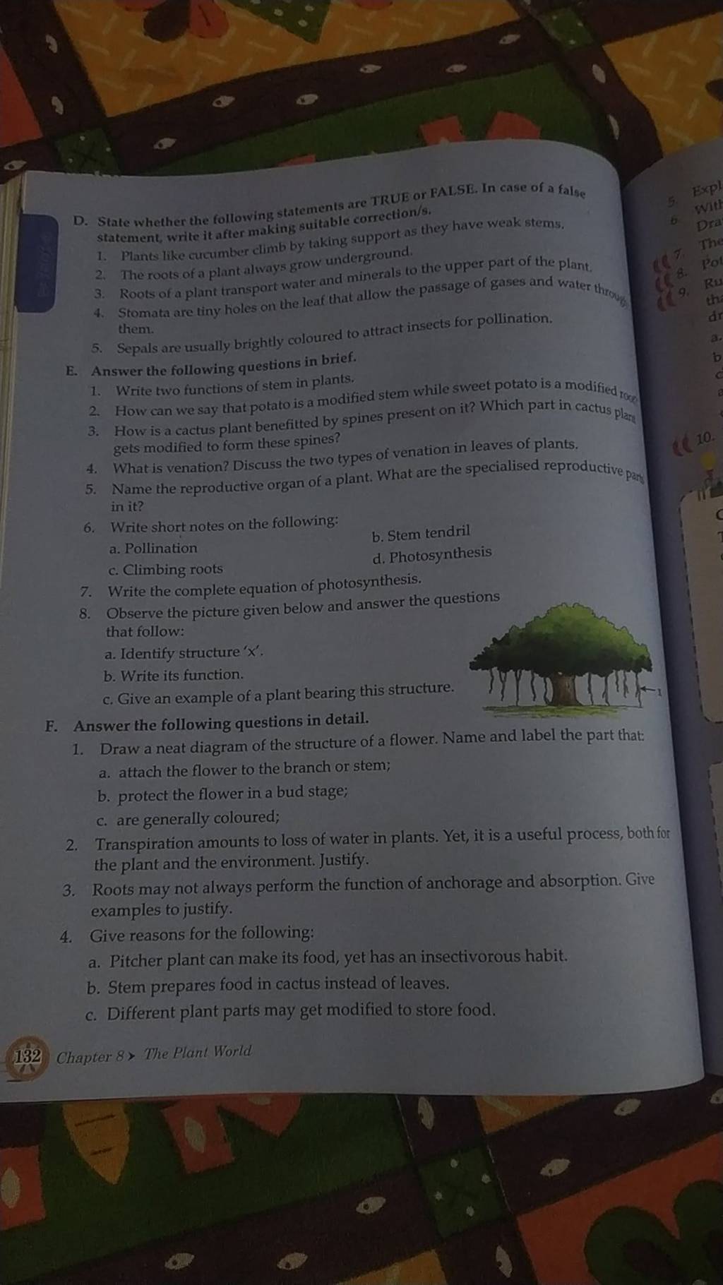 Write the complete equation of photosynthesis. 8. Observe the picture giv.. Write the complete equation of photosynthesis. 8. Observe the picture giv..