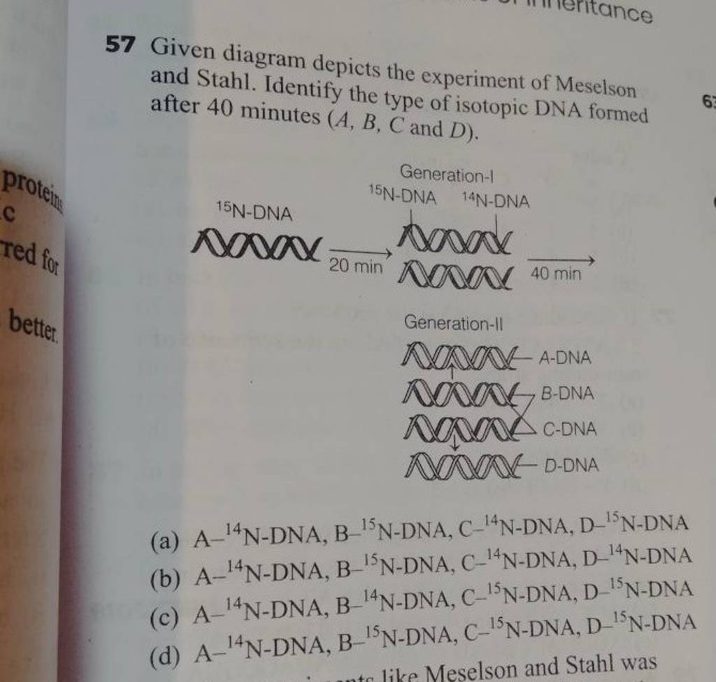 57 Given diagram depicts the experiment of Meselson and Stahl. Identify t..