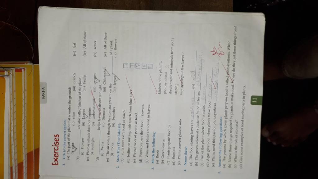 PART-A Exercises 1. Tick ( ) the correct option: | Filo