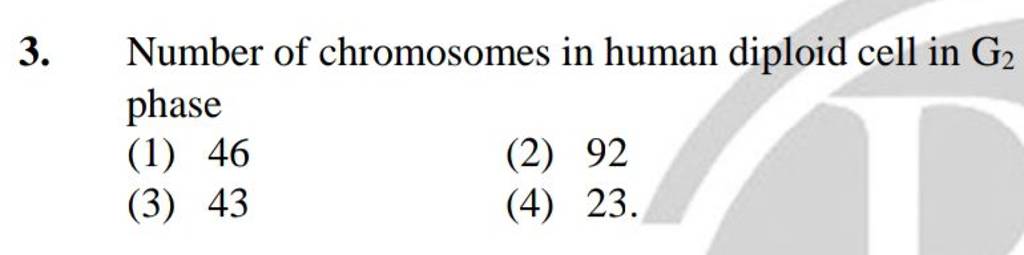 Number of chromosomes in human diploid cell in G2 phase | Filo