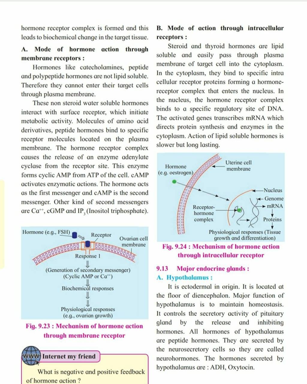 hormone receptor complex is formed and this B. Mode of action through int..
