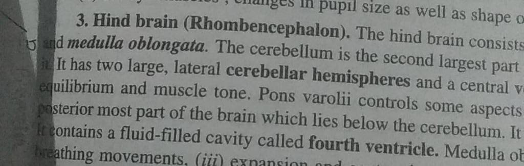 3. Hind brain (Rhombencephalon). The hind brain consists 5 ard medulla ob..